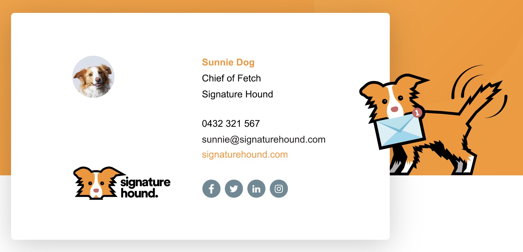 Create Your Own Custom Email Signature Signaturehound T5 Top